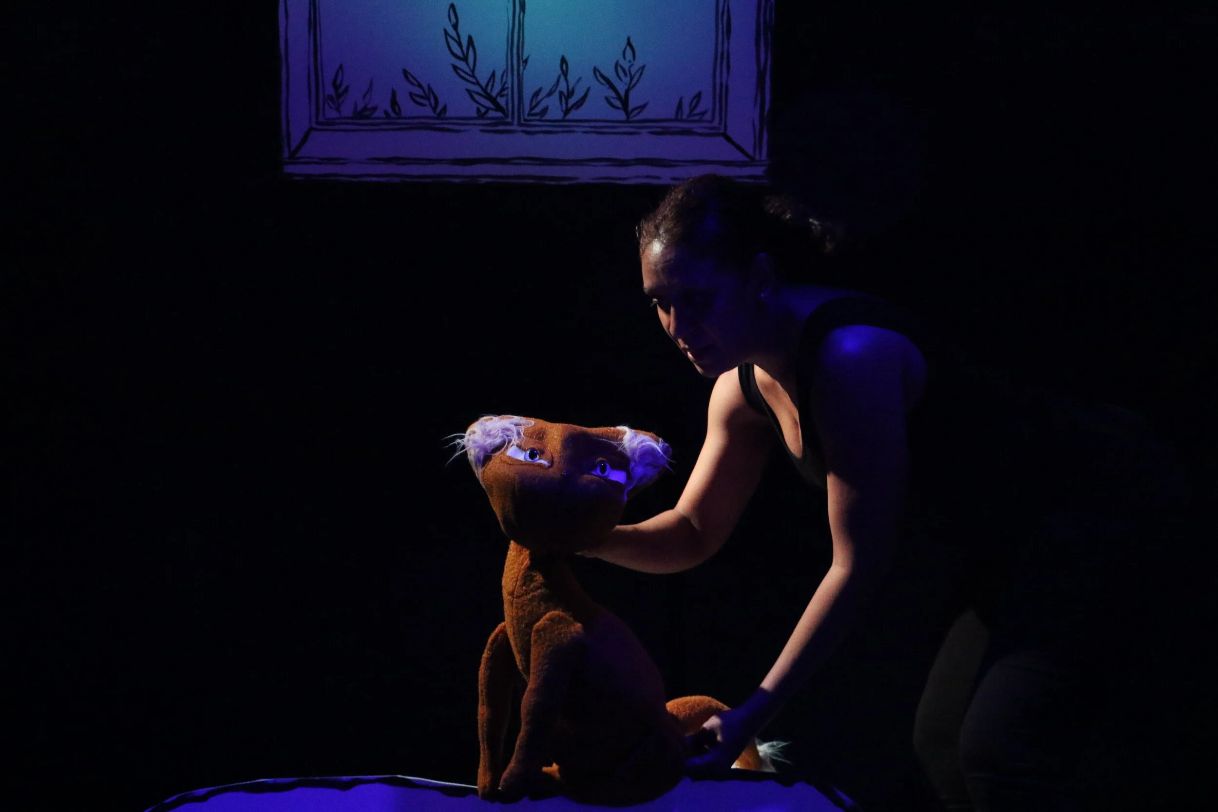 The Pet Play — Dramatic Question Theatre