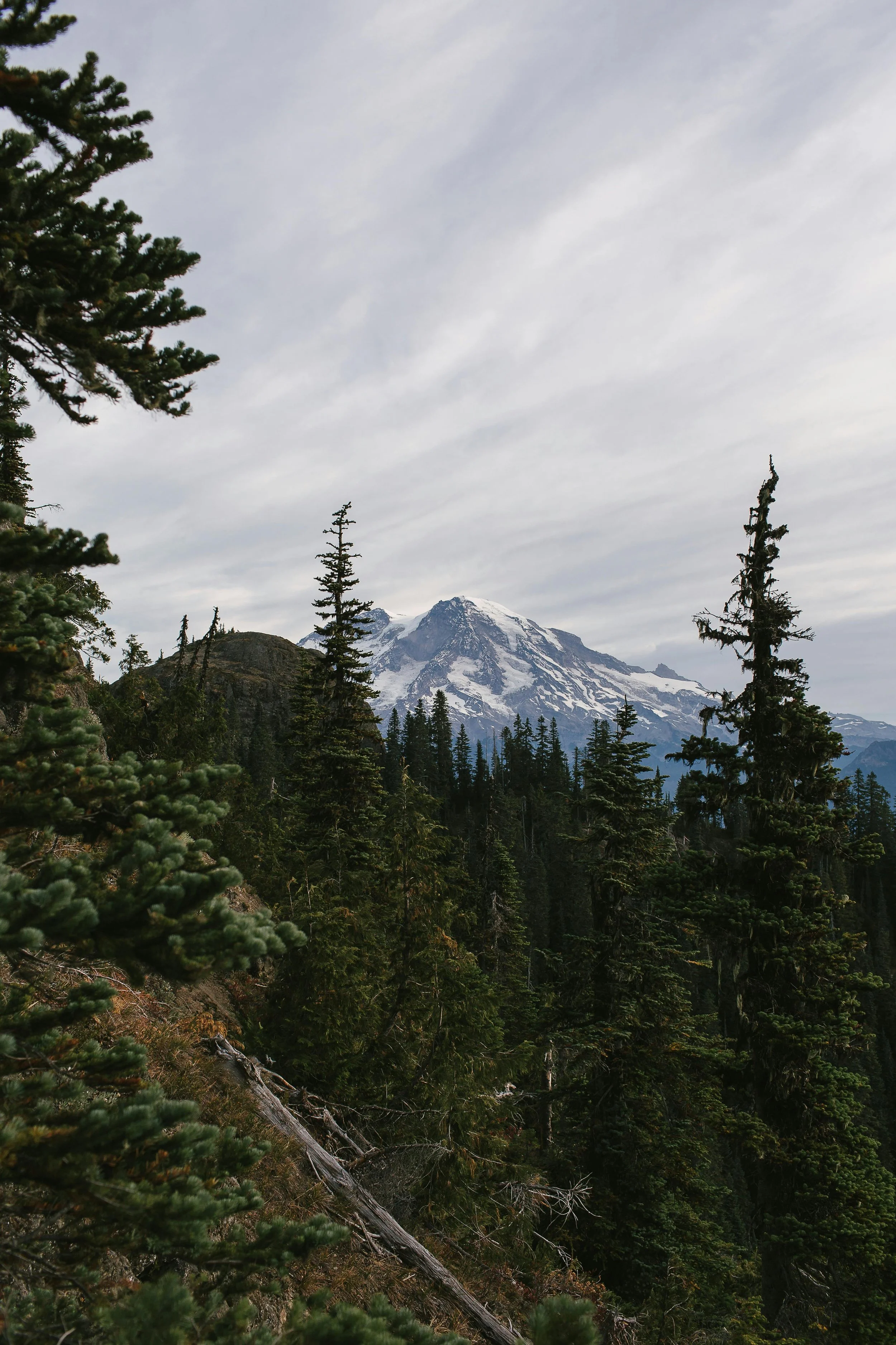 Portfolio — Columbia River Partners