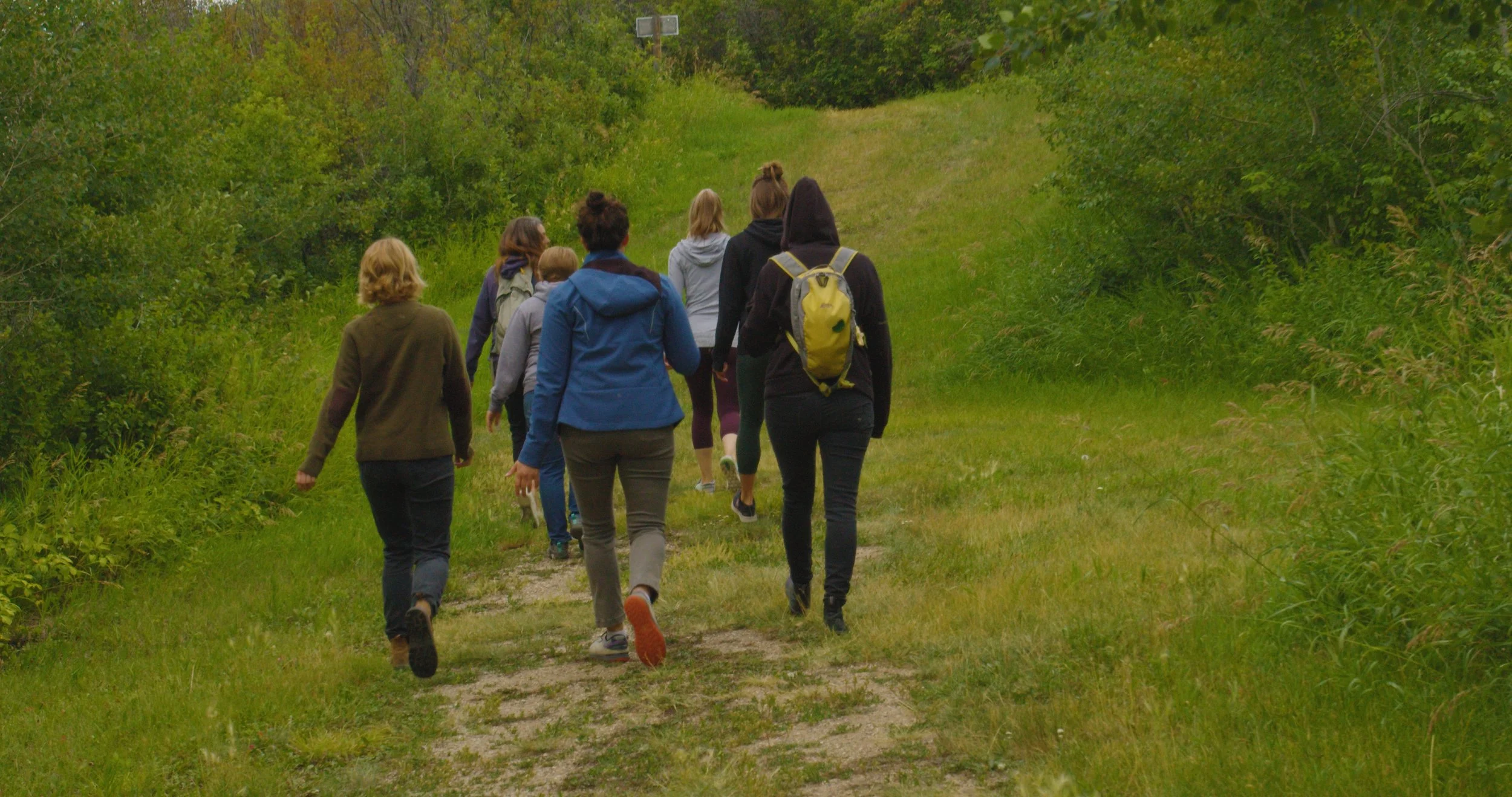 Retreats — Back2Nature