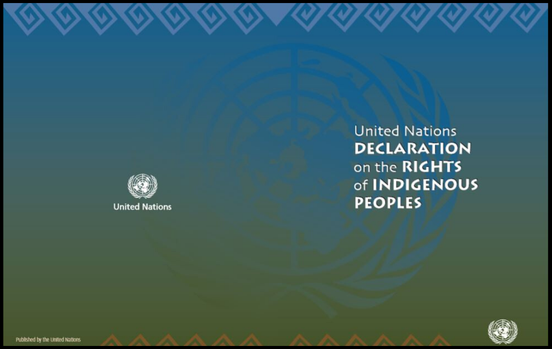 UN Declaration — BC Legislation on the Declaration on the Rights of ...