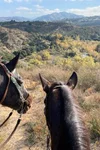 Santa Margarita River Trails Map — Fallbrook Trails Council