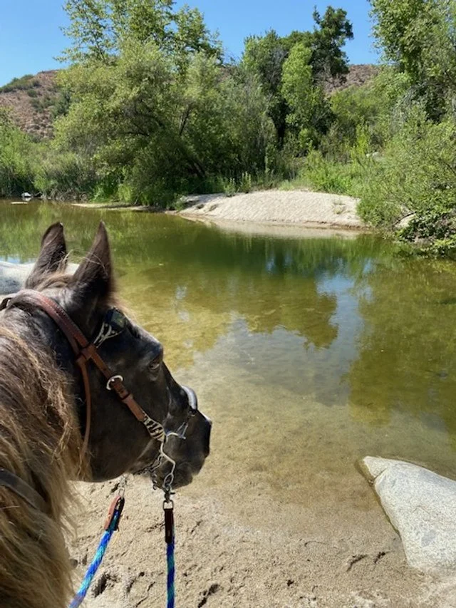 Santa Margarita River Trails Map — Fallbrook Trails Council