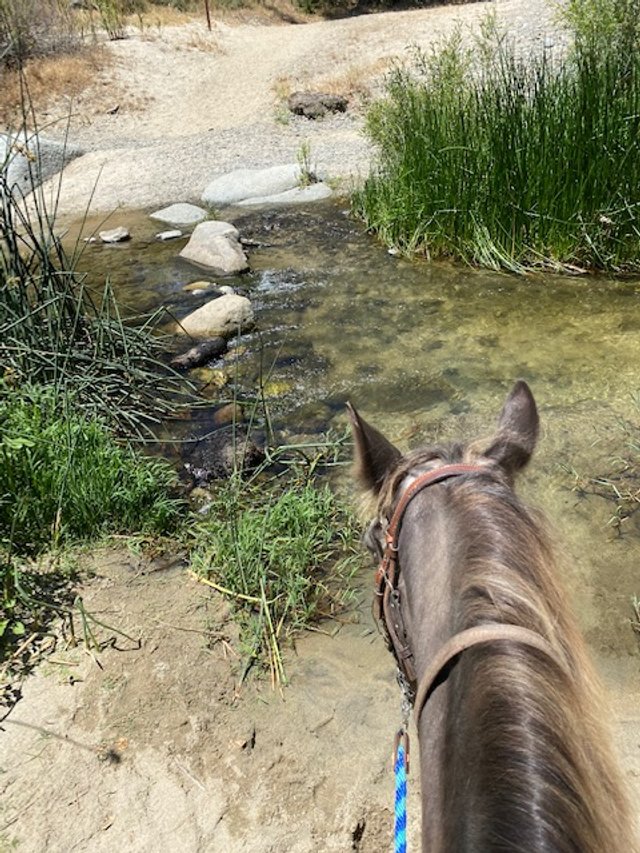 Santa Margarita River Trails Map — Fallbrook Trails Council