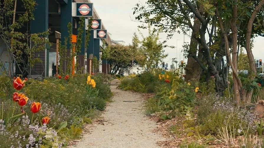 Hatton Cross — Energy Garden