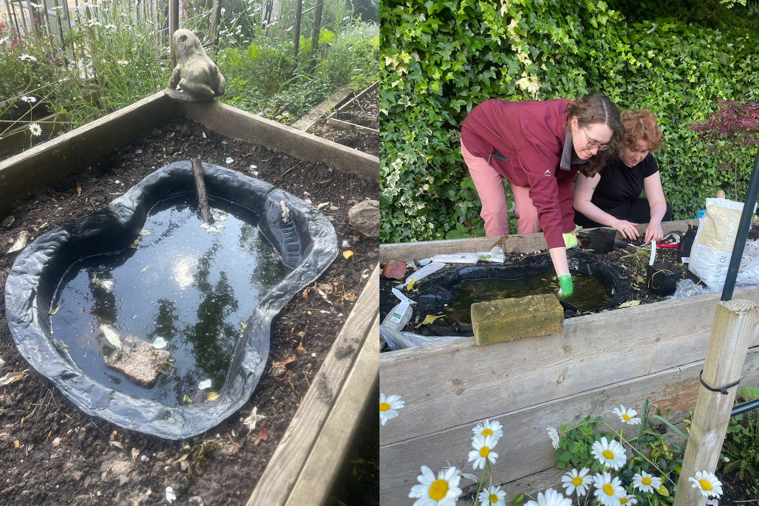 One Year at the Pond — Energy Garden