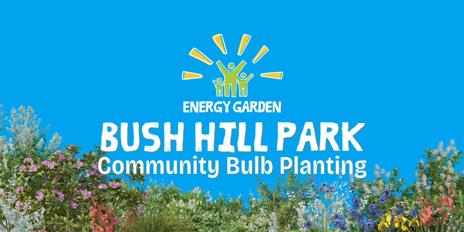 Community Bulb Planting at Bush Hill Park Energy Garden — Energy Garden