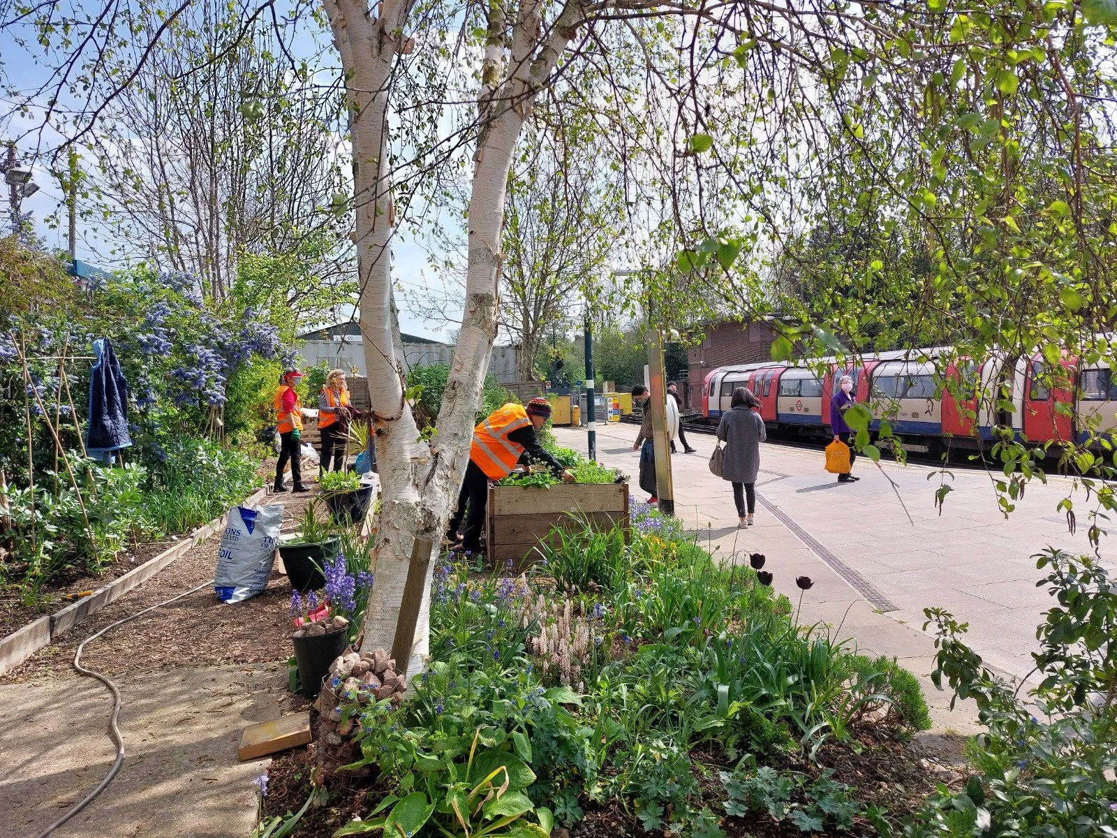 Finchley Central Gardening Session — Energy Garden