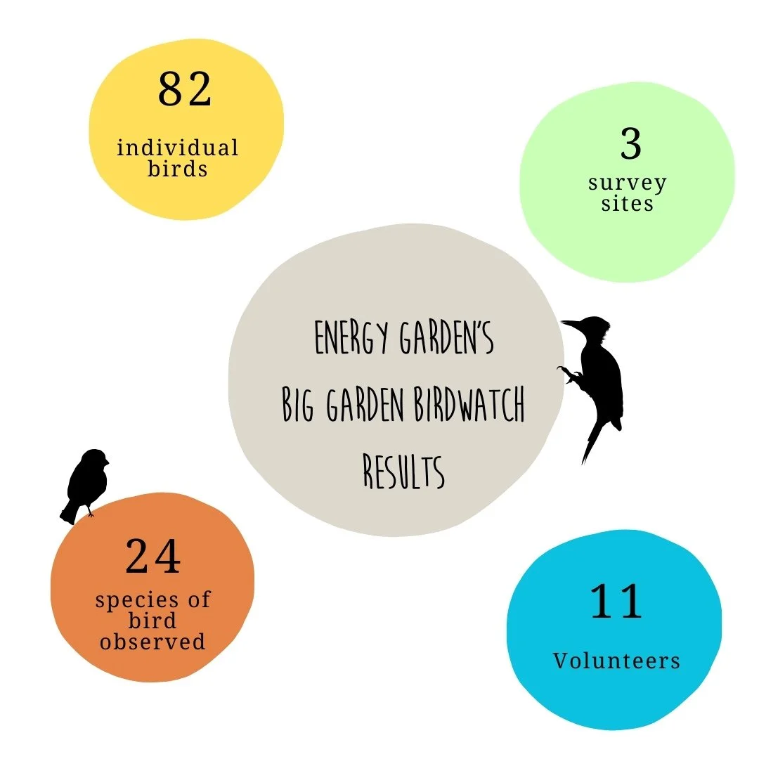 Blog: Big Garden Birdwatch at Energy Garden — Energy Garden
