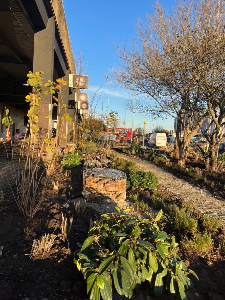 Hatton Cross — Energy Garden