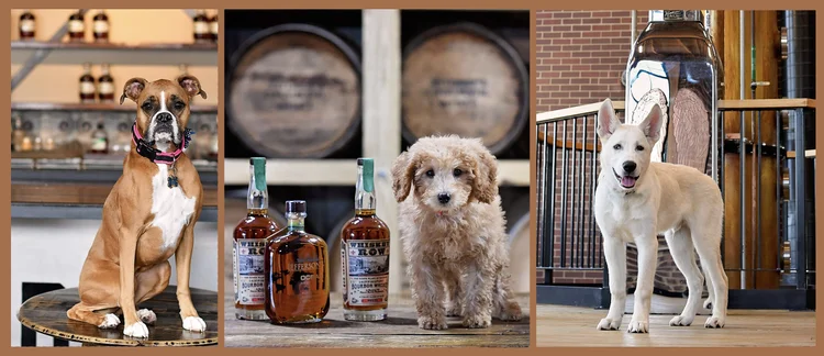 Bourbon Tails: The Dogs of Bourbon Country | Photography book of dogs ...