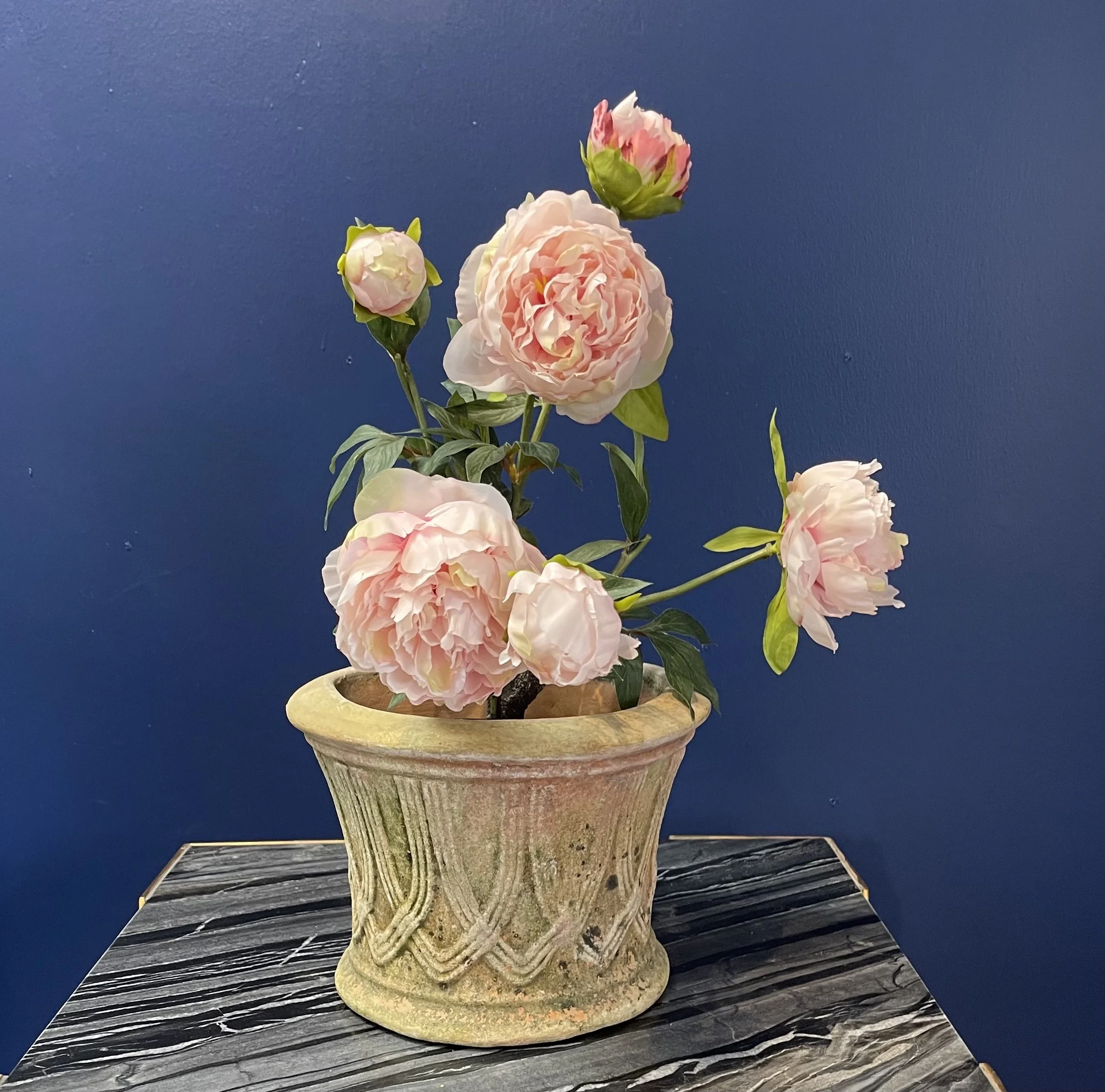 Permanent Botanicals — Paradigm Texas