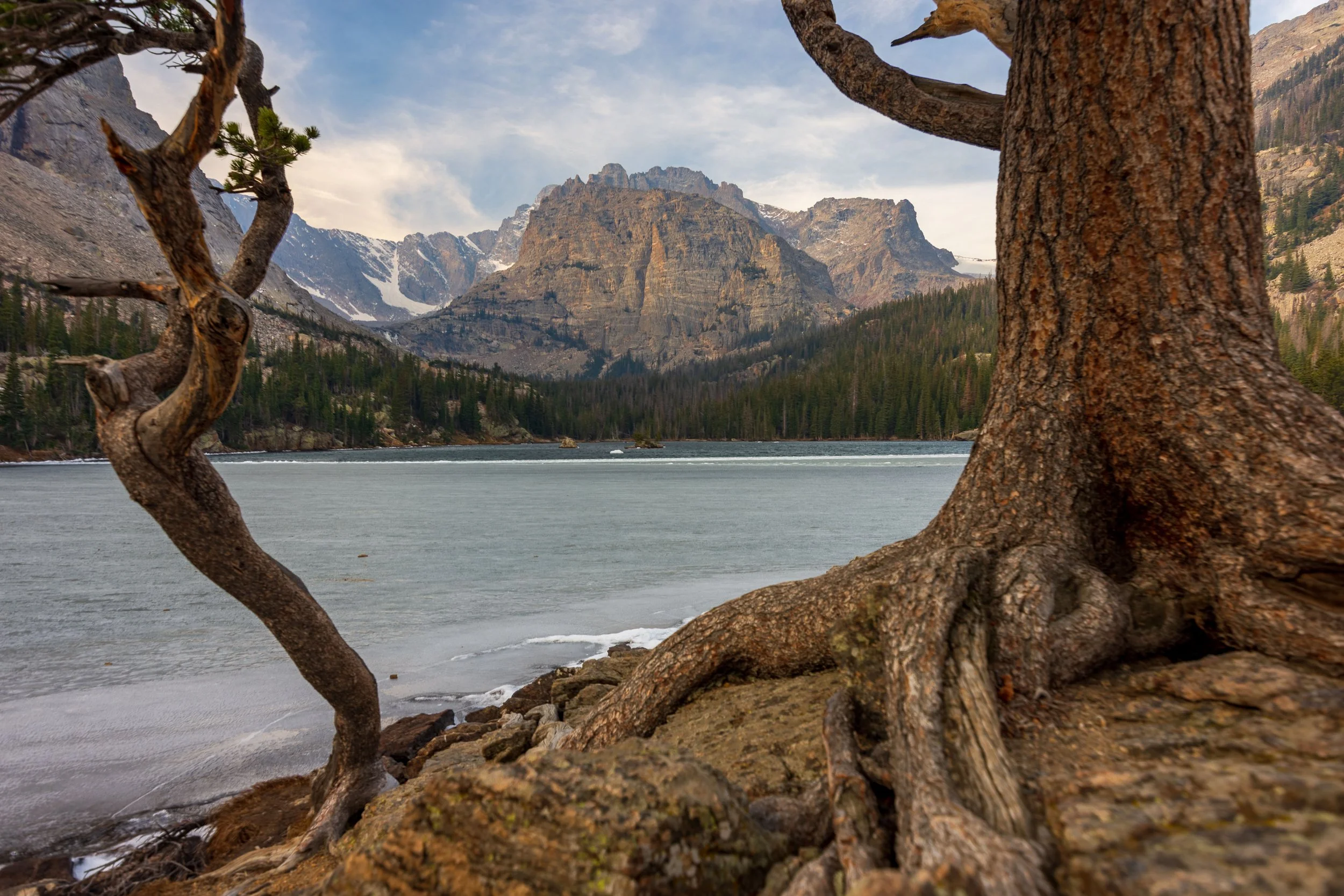 10 best photo spots in Rocky Mountain National Park — Wild Lands Photo