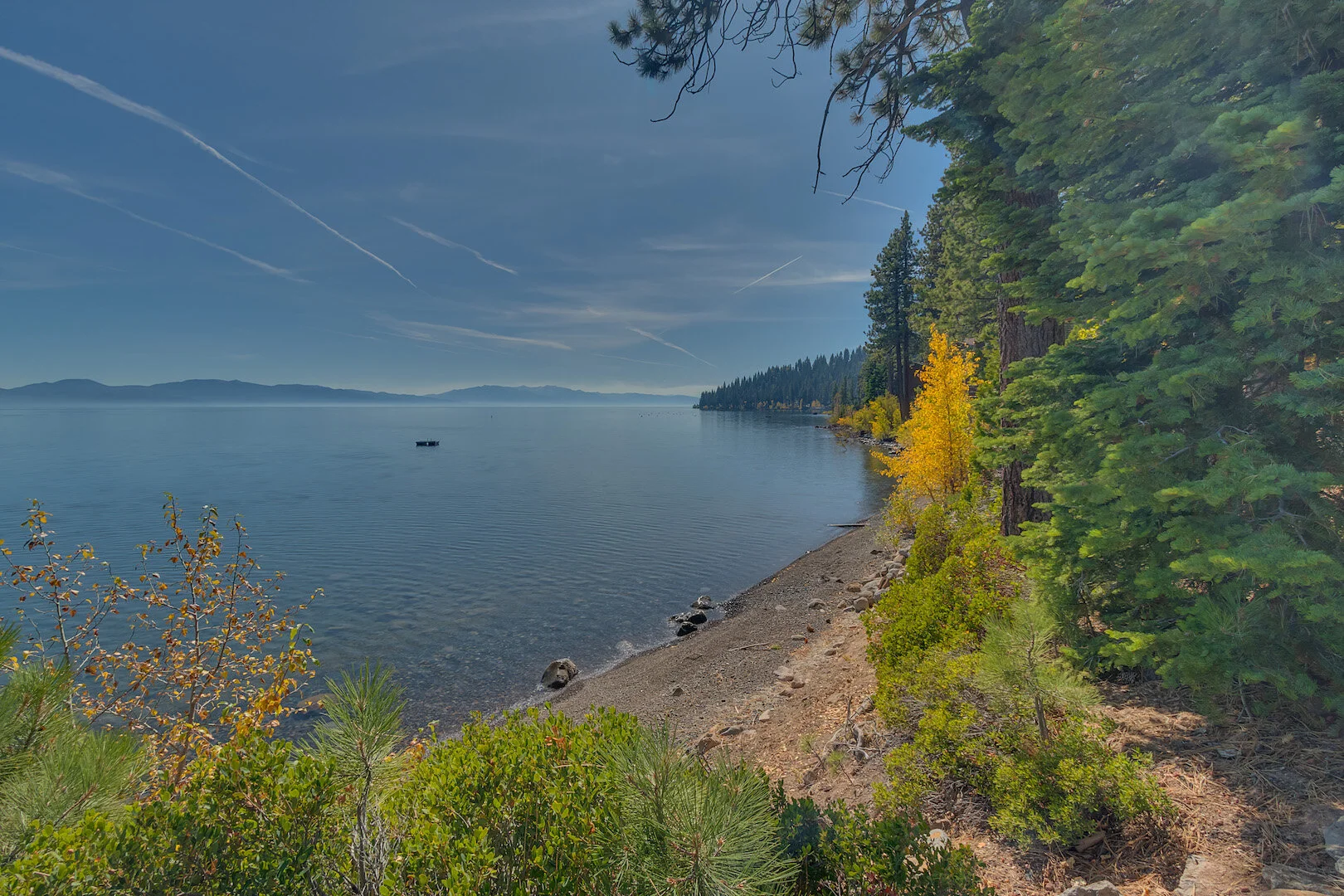 Chinquapin 89 — Packard Realty