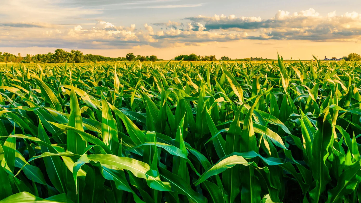 Precision Fabrication, LLC