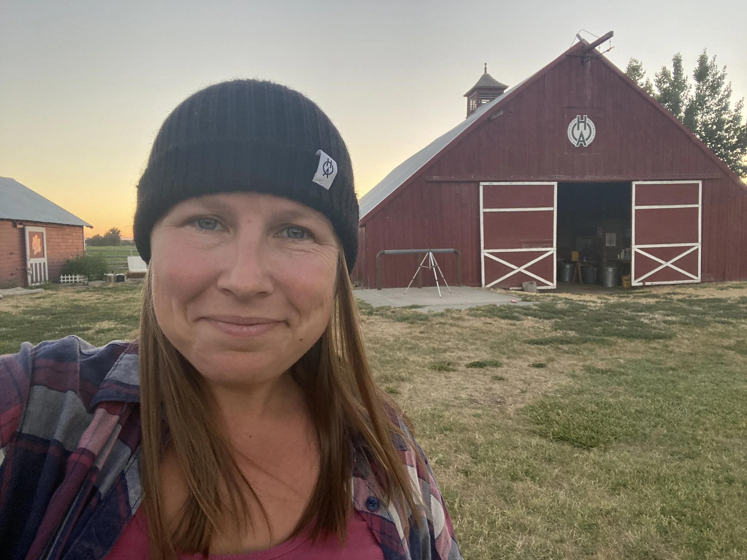 Visit the farm — Old Homestead Alpacas