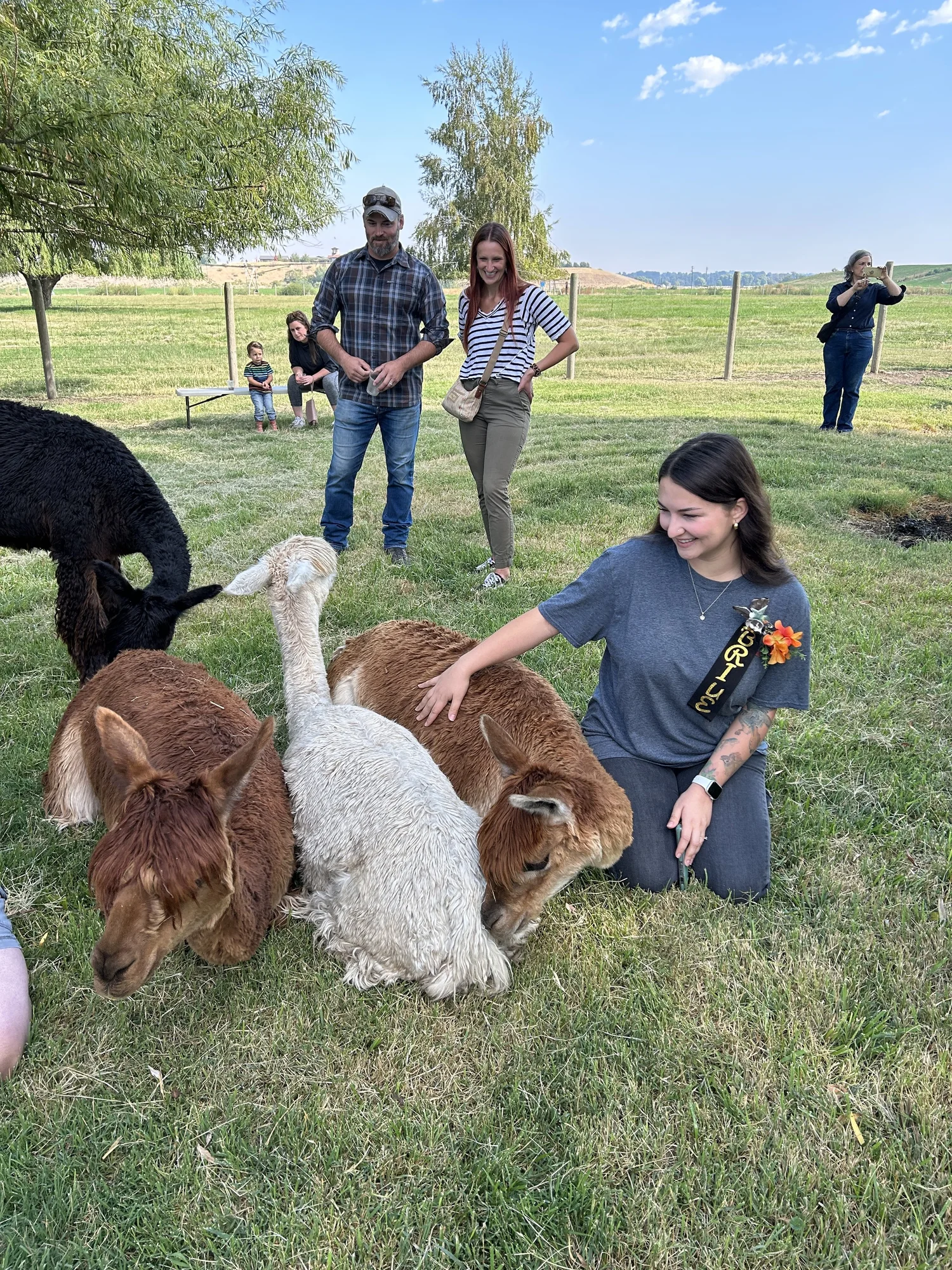 Old Homestead Alpacas