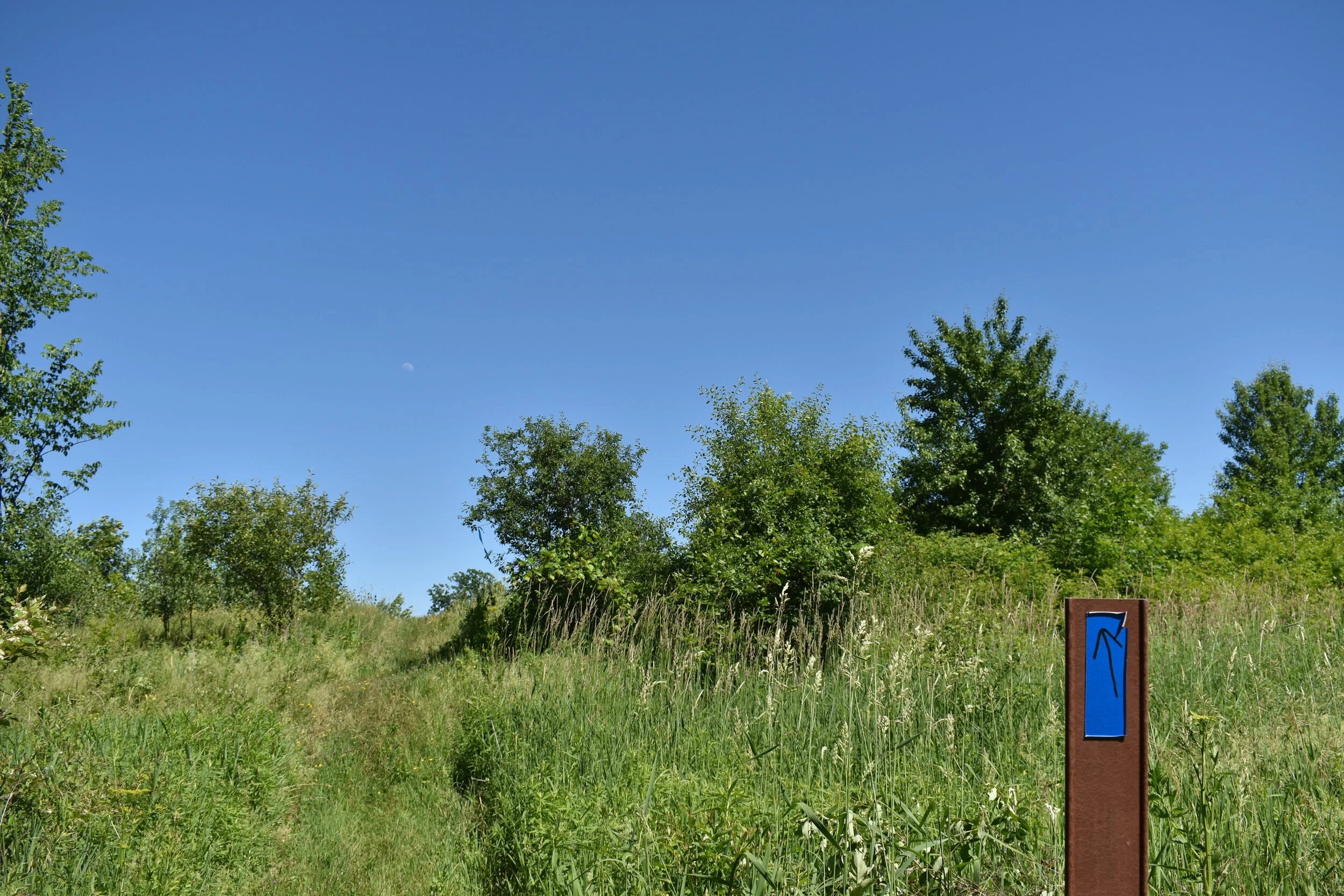 Trails — Middlebury Area Land Trust