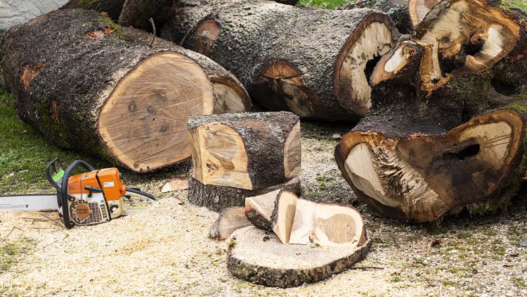 Woodturning Courses — Giorgio Romani Woodturning
