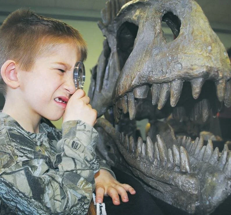 Kindergarten Dinosaur Workshops | Hands-On Learning for Niagara ...