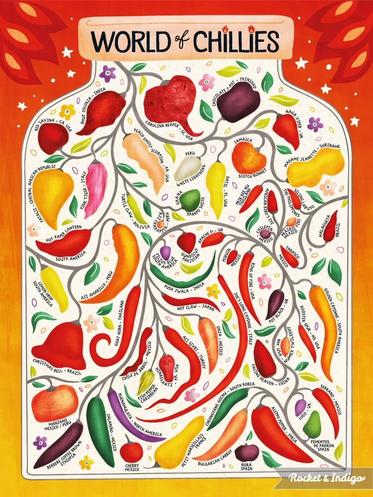 Mini Portfolio — Rocket & Indigo