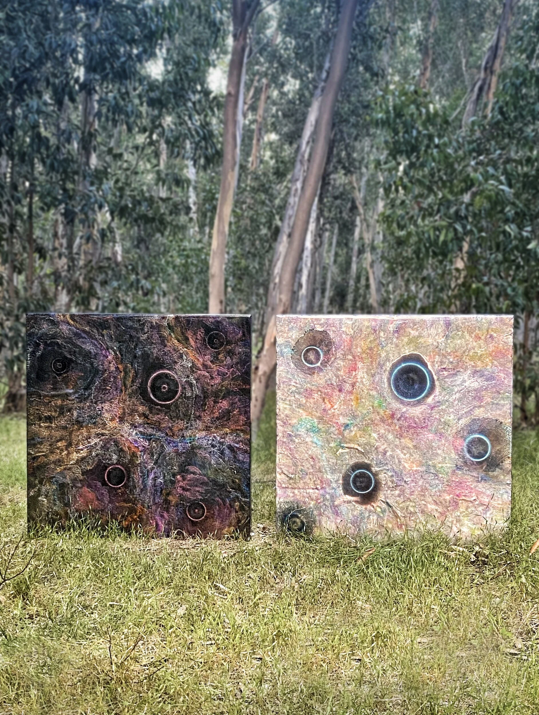 Nathan Daniel | San Diego Fine Art | Luxury Art