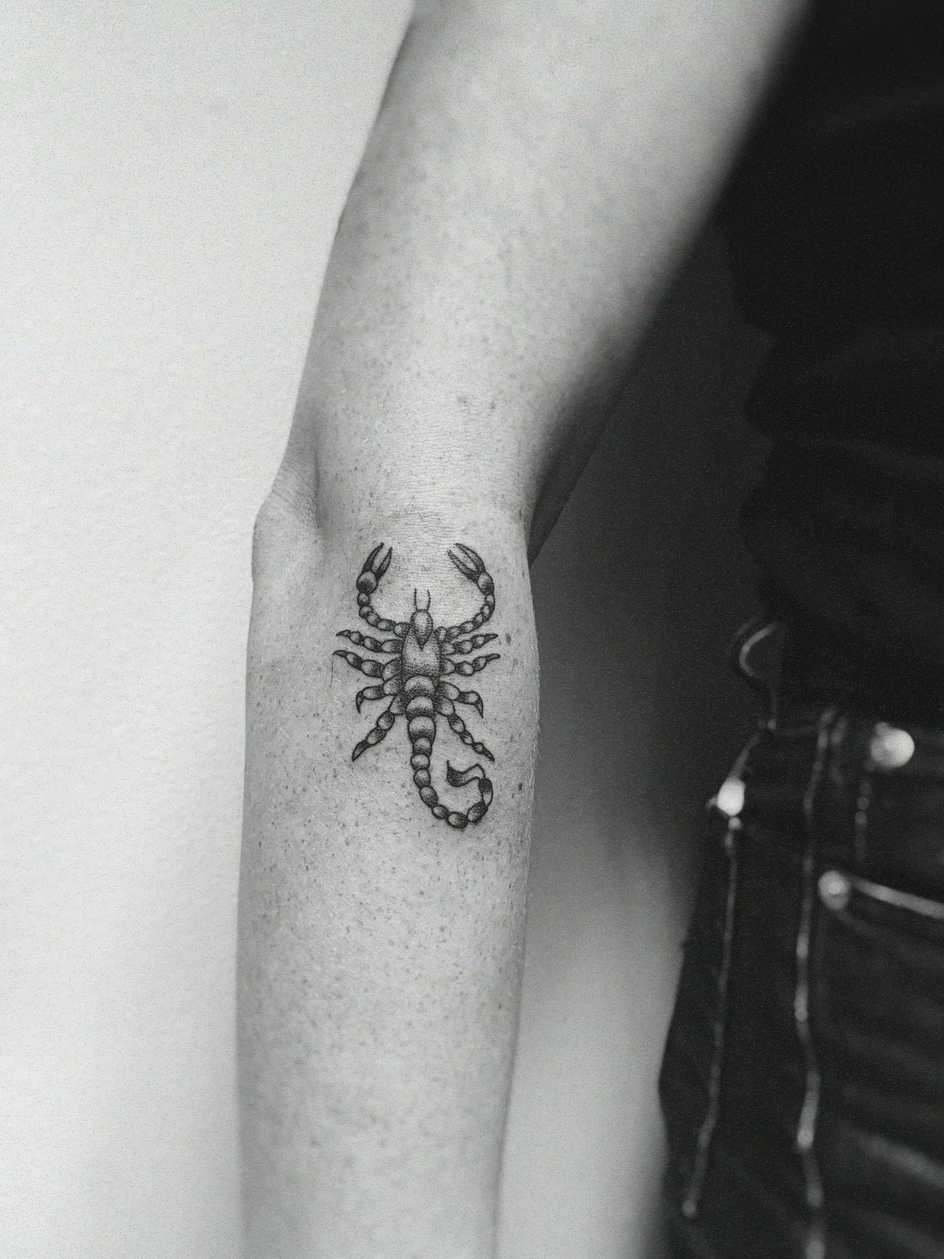 Nightshade® Seattle