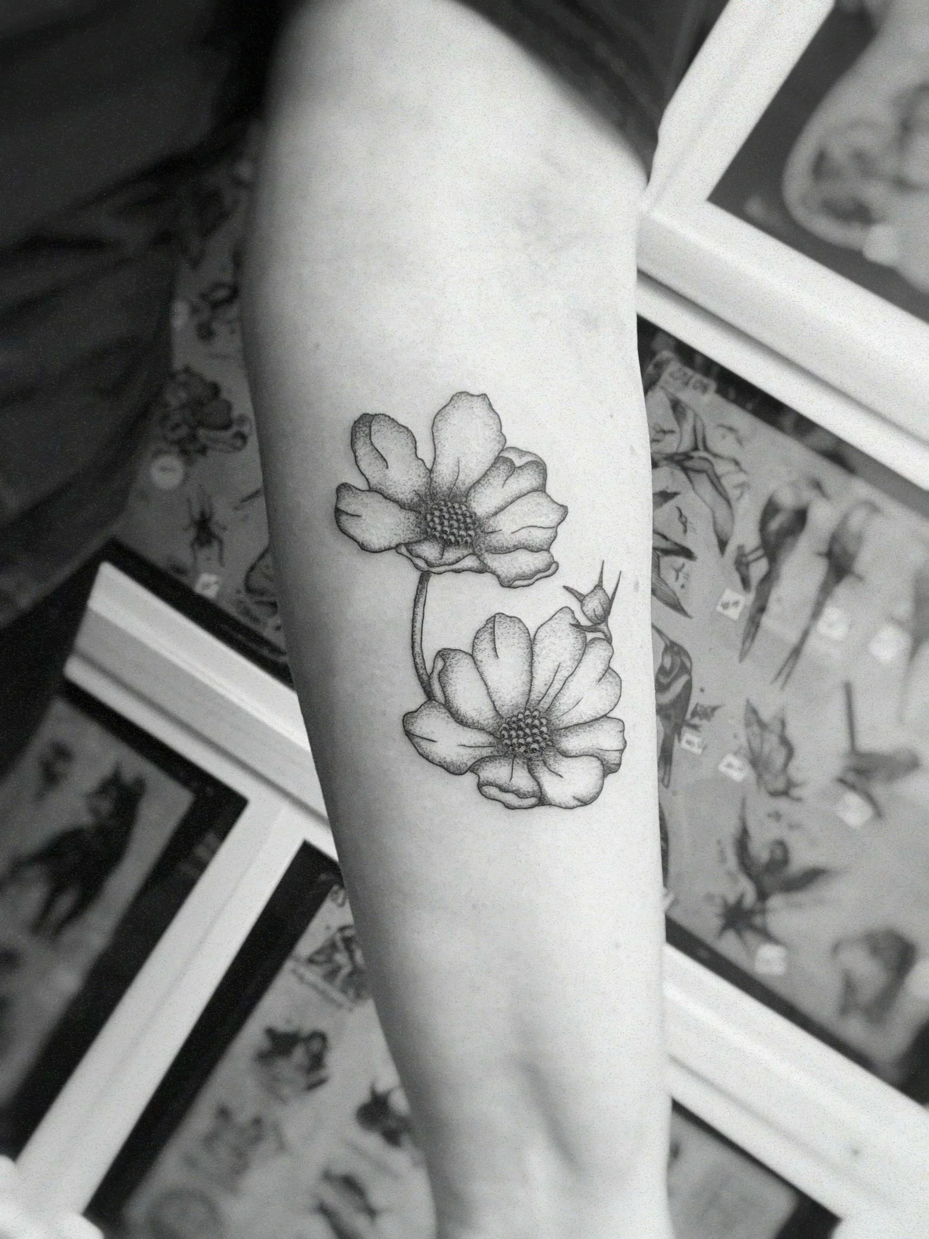 Nightshade® Seattle