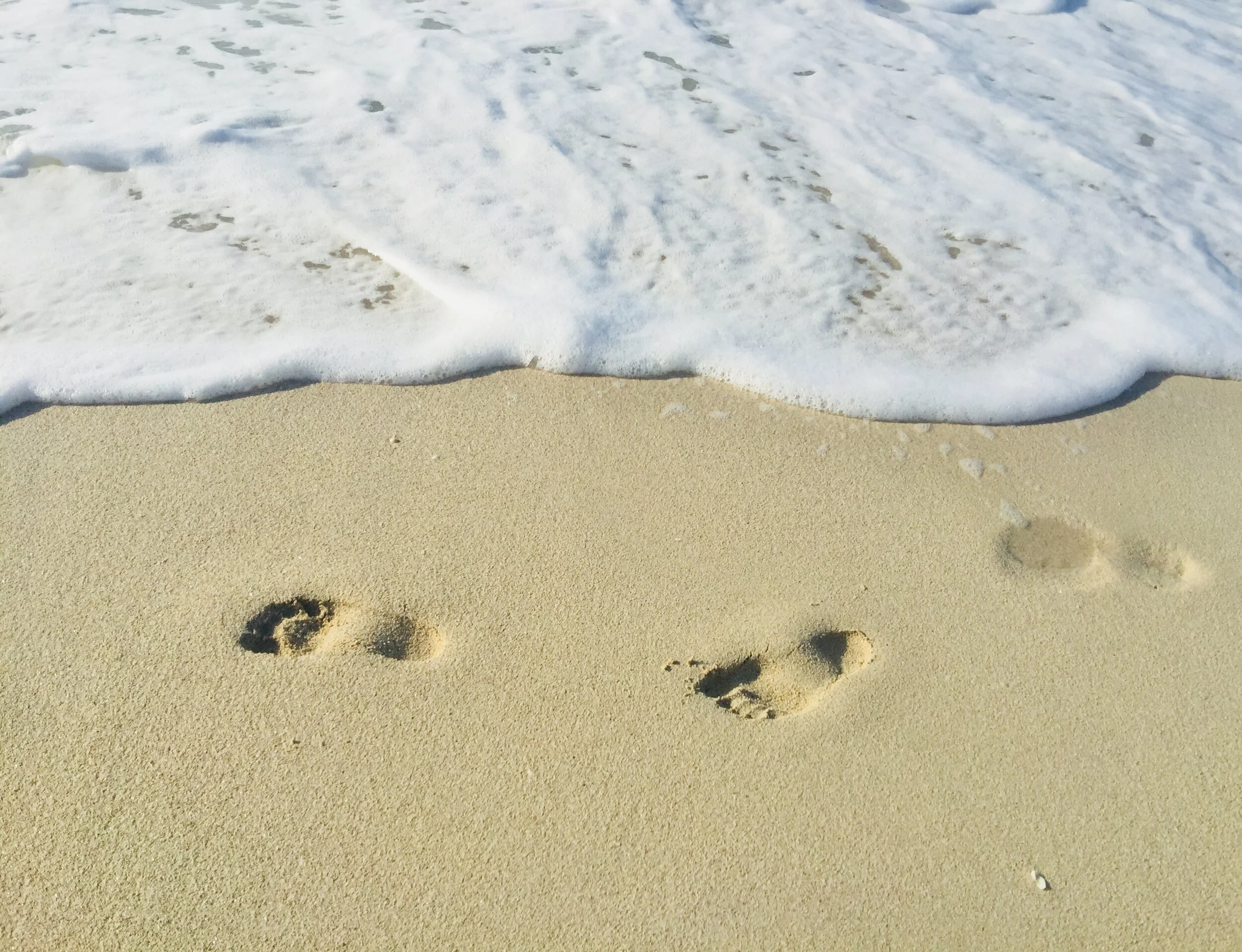 NEXT STEP TRAINING LLC