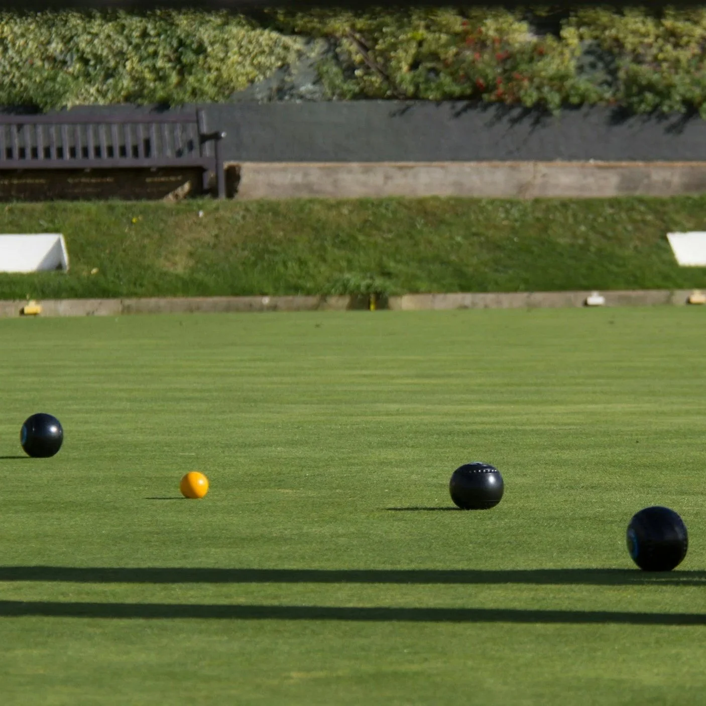 Designing a Backyard Bocce Court for Endless Entertainment — Turfscapes ...