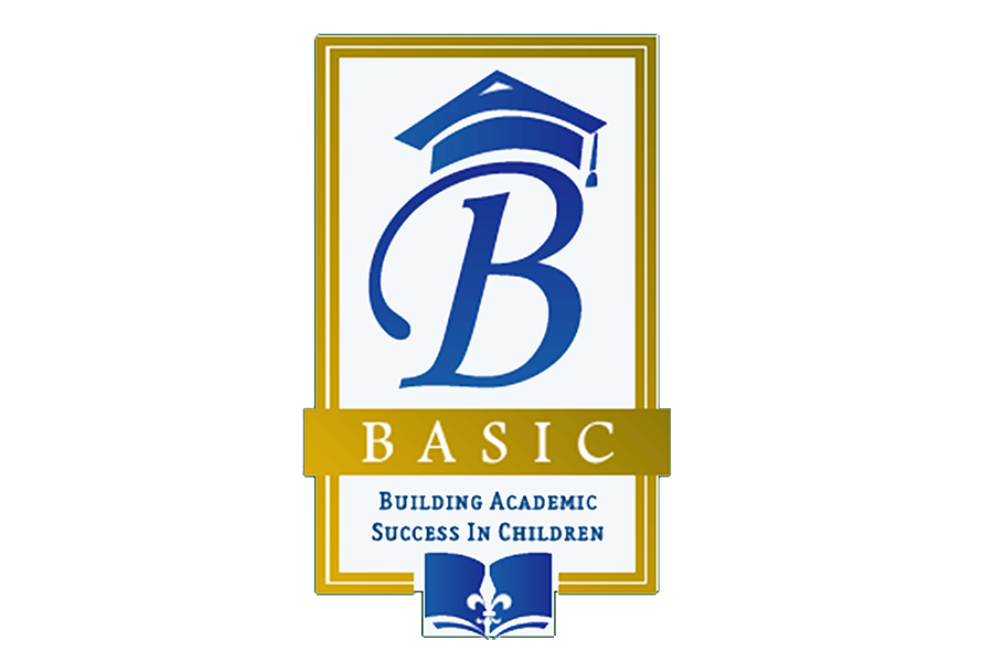 Who We Are — BASIC Solutions