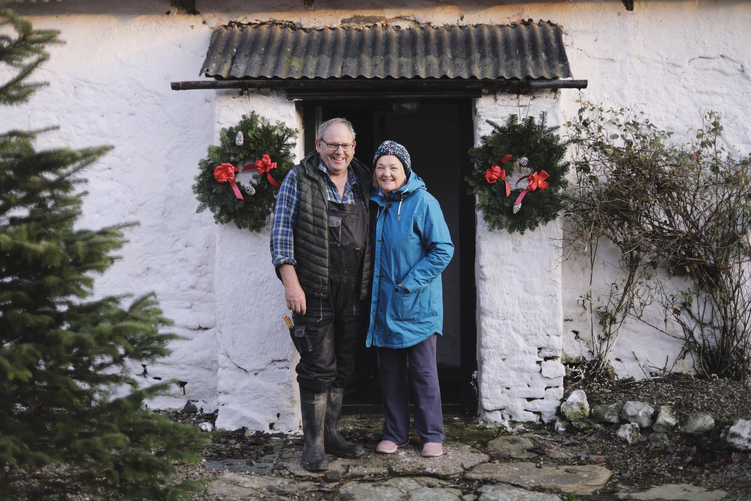 The French Family Farm — French's Farm Fresh Christmas Trees