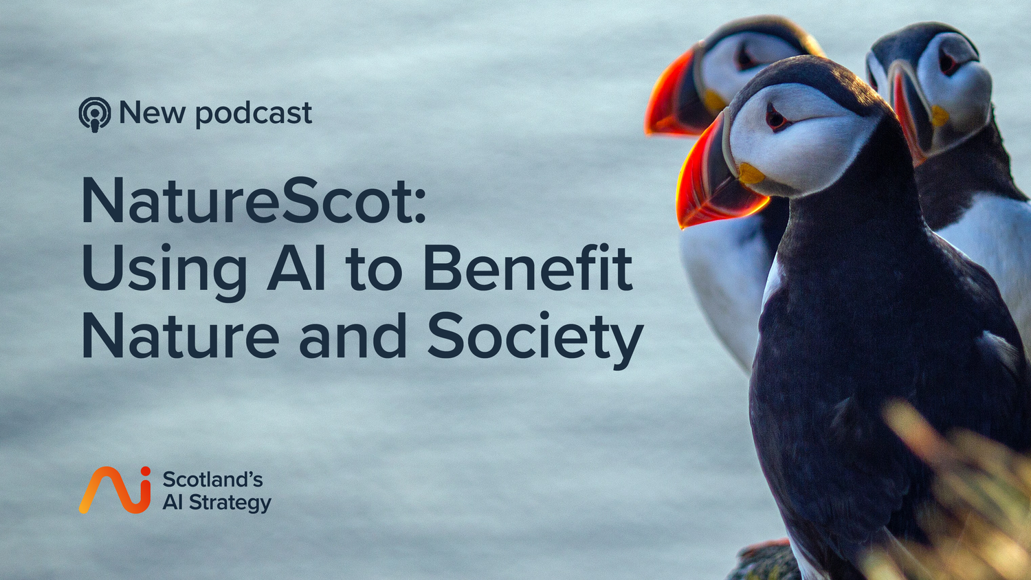 New podcast: NatureScot: Using AI to Benefit Nature and Society ...