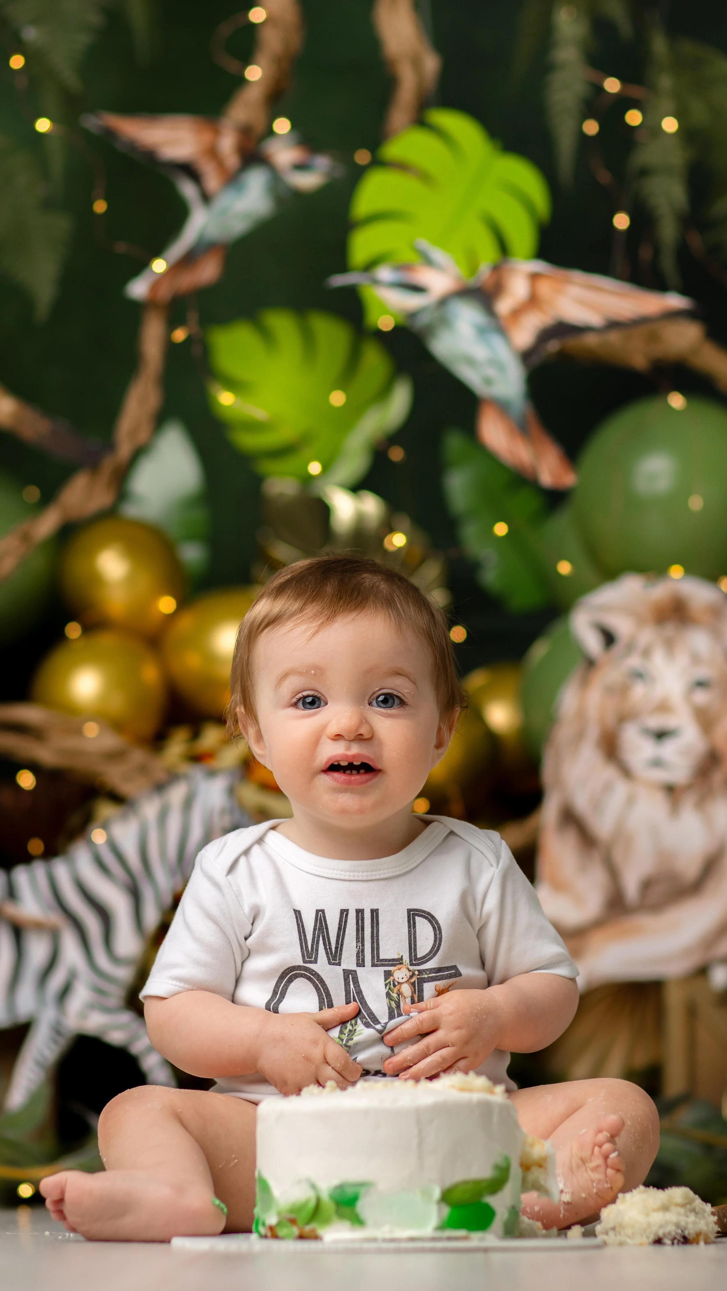 Cole Drew Photography -New Hampshire Photographer- Newborns, Families ...