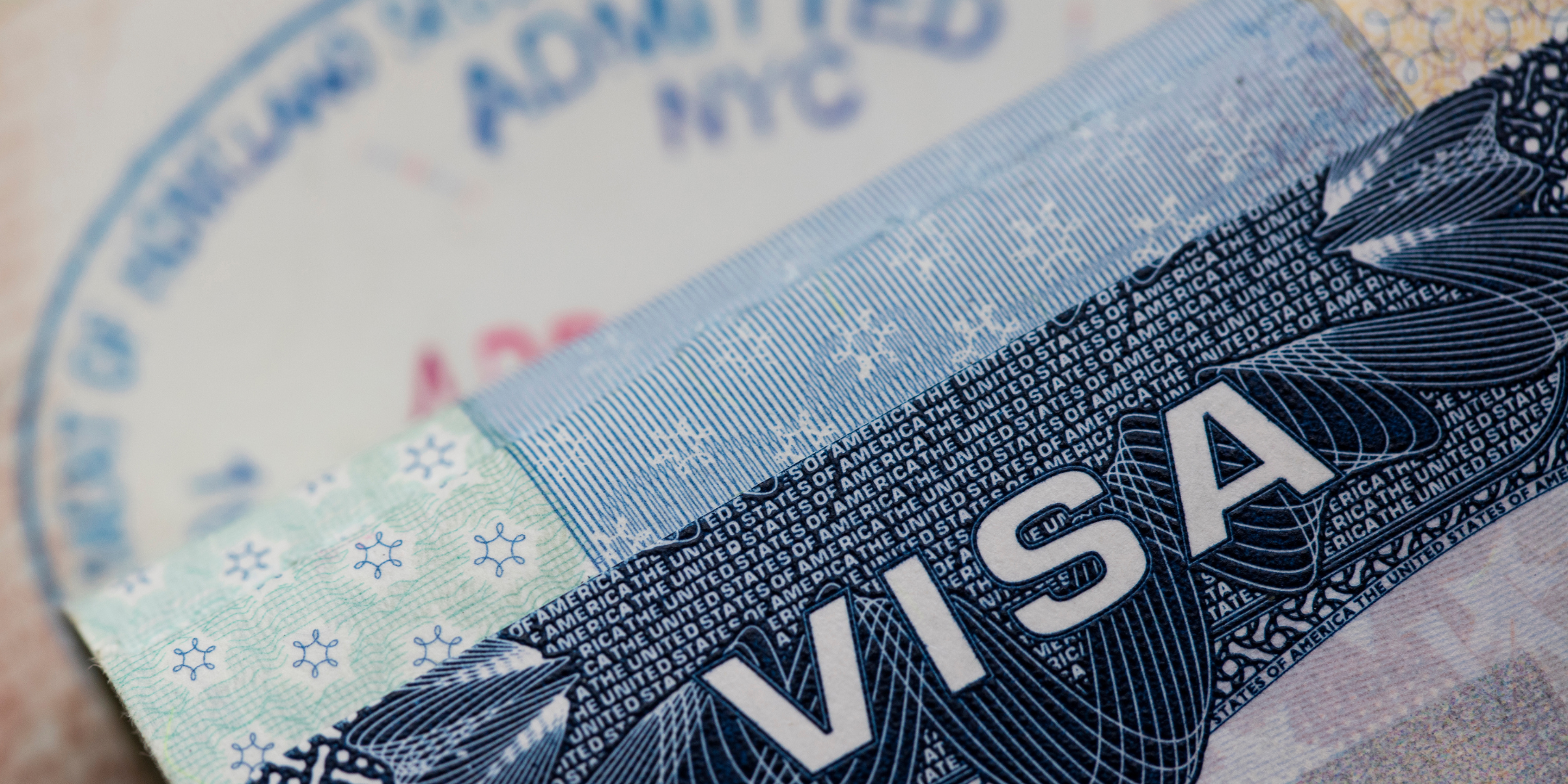 The U.S. must consider including displaced people in employment based ...