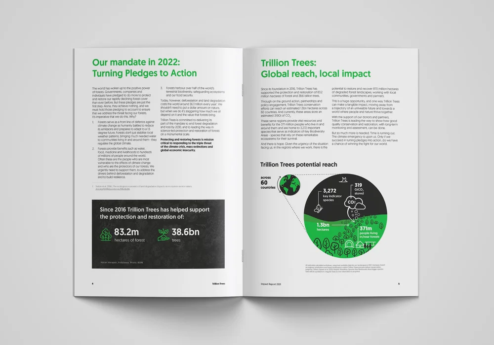 Trillion Trees Annual Report Design — Festoon Studios