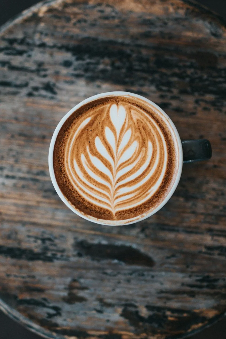 Team — SEND Coffee