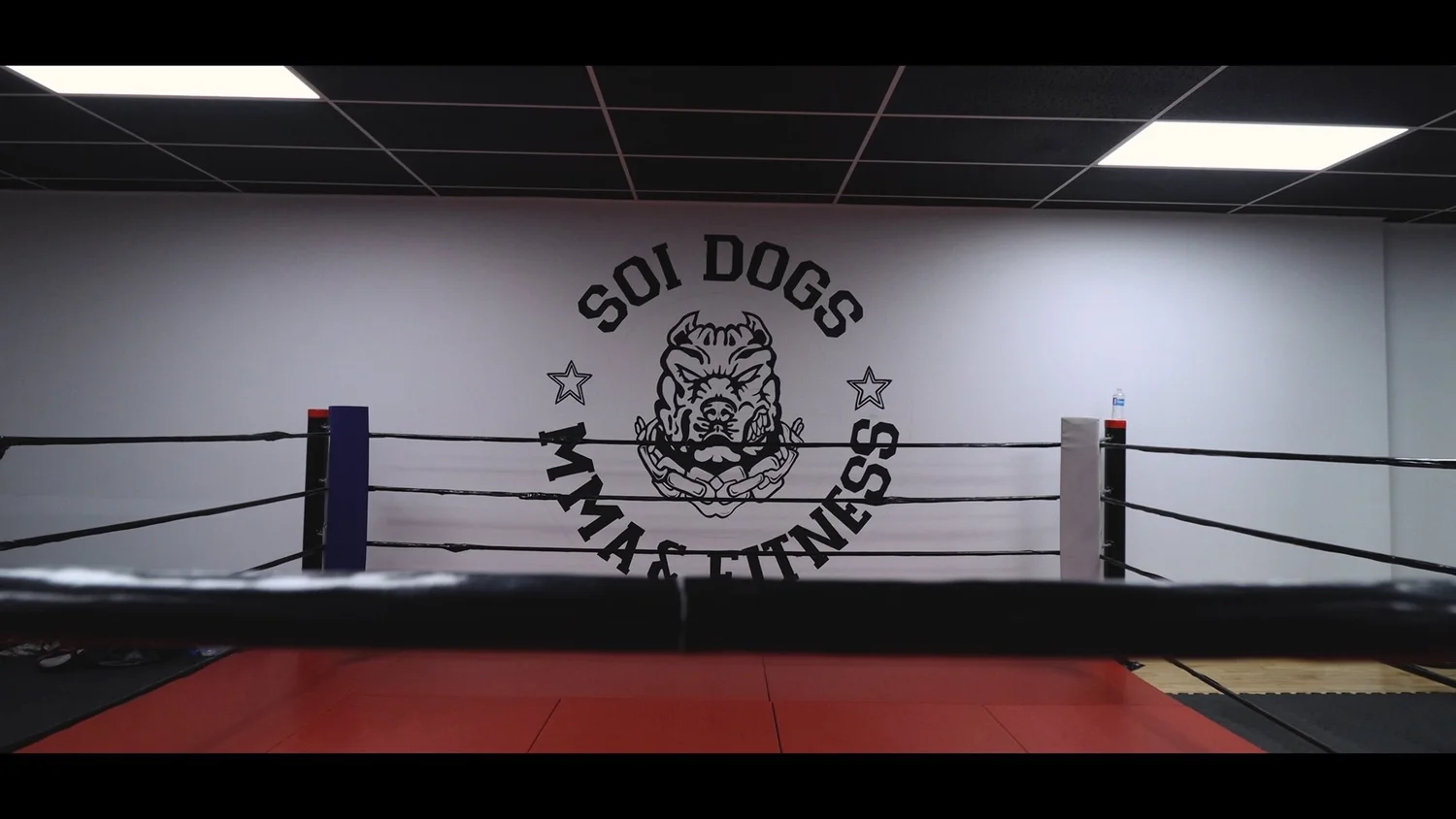 SOI DOGS MMA & FITNESS