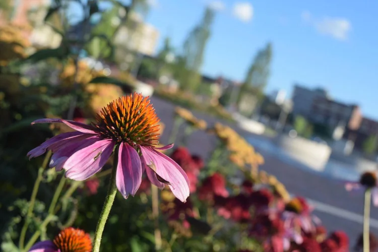 Parks — City of Hamilton, OH