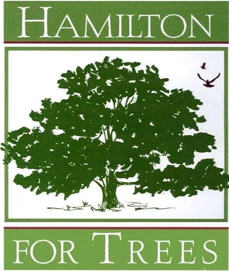 Urban Forestry — City of Hamilton, OH