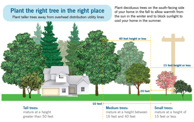 Urban Forestry - Vegetation Management — City of Hamilton, OH