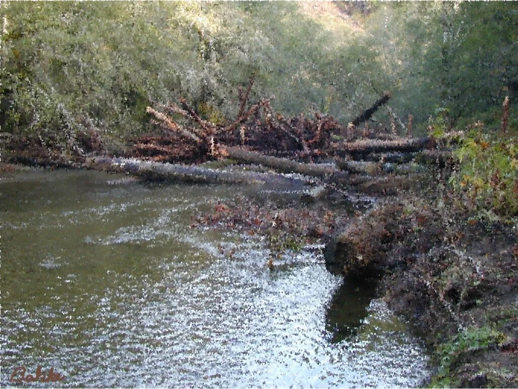 Logjams and Large Wood in Rivers — The Science of Rivers