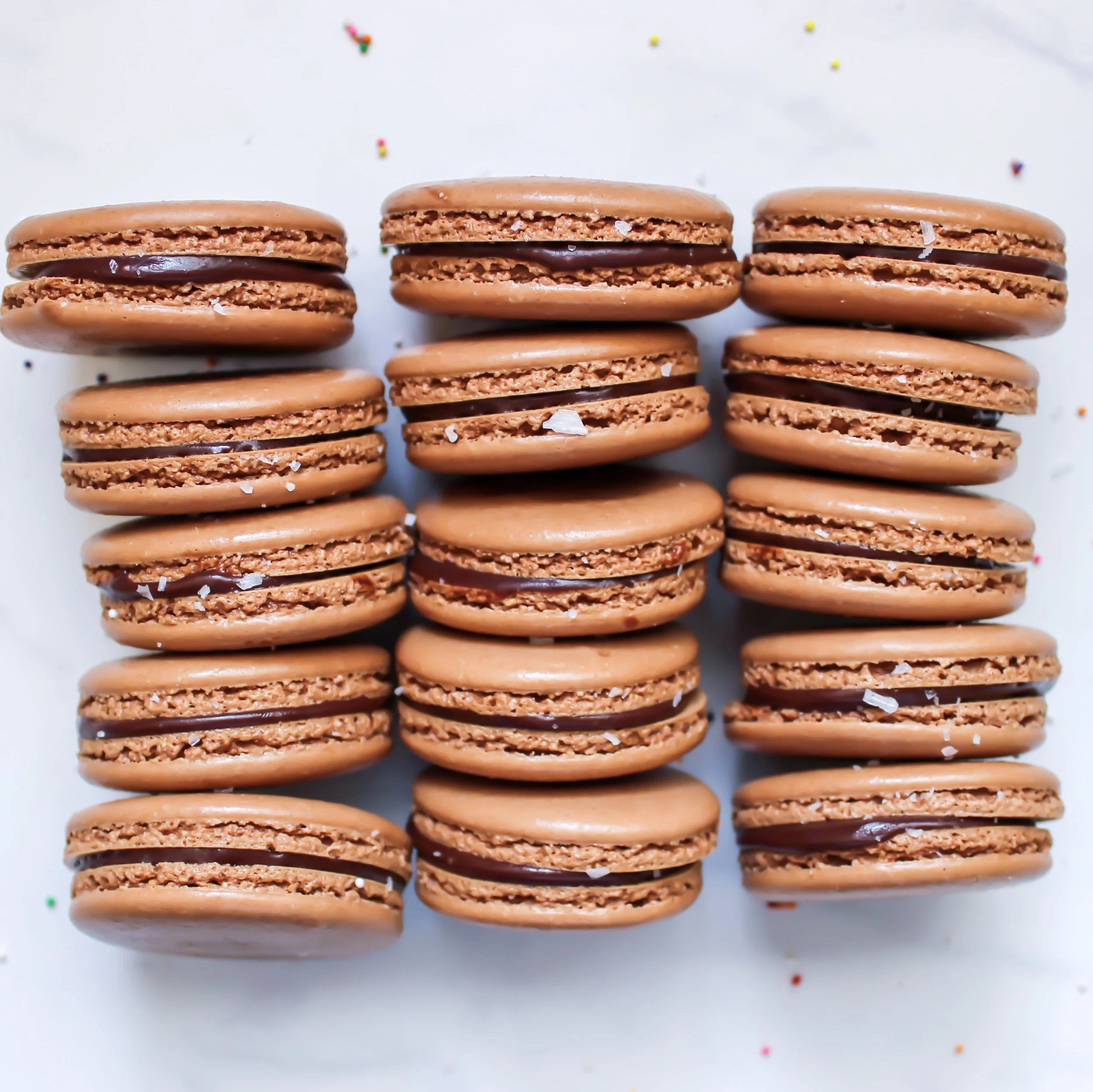 Double Chocolate Macarons + Macaron Making Tips - salt n sprinkles