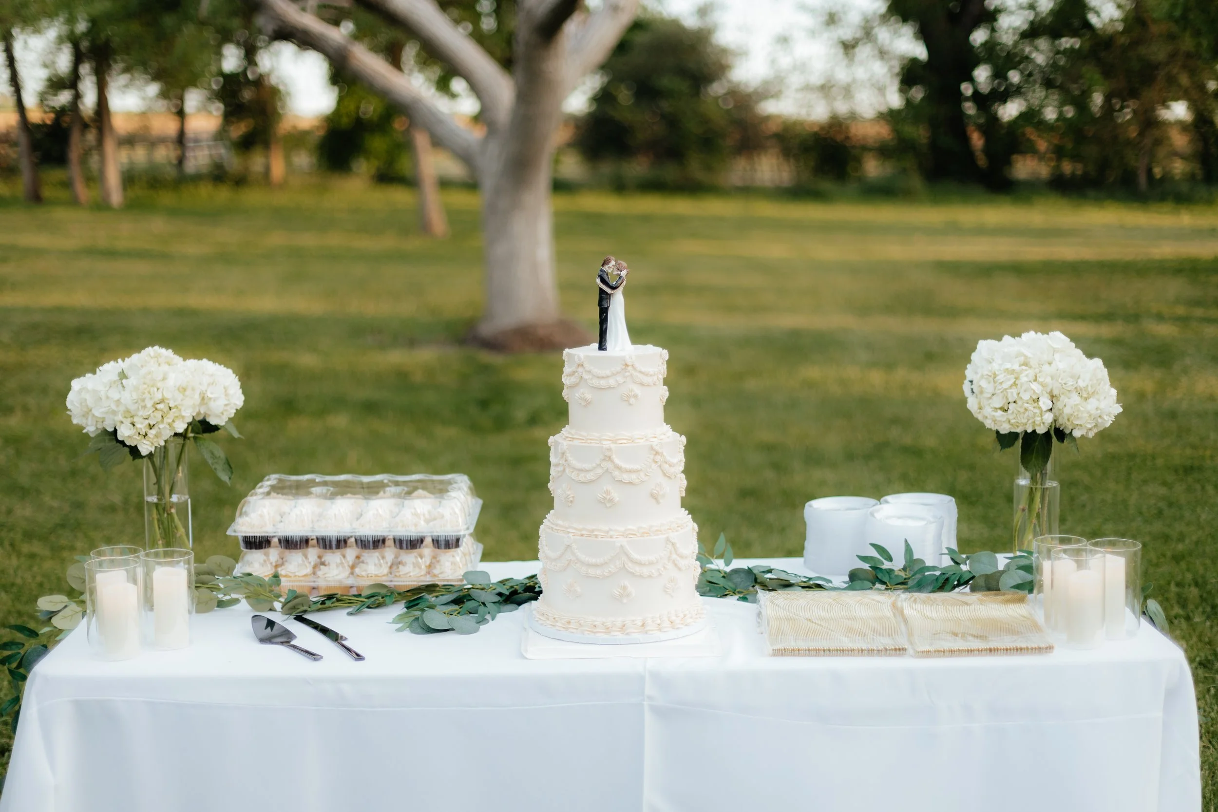 McFarland Living History Ranch Wedding, Galt, Sacramento, California ...