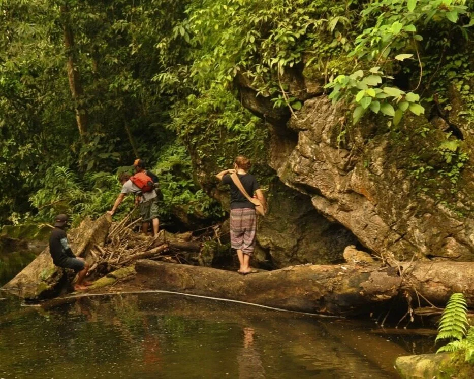 Sumatra Jungle Treks | Simolap Wild Adventures