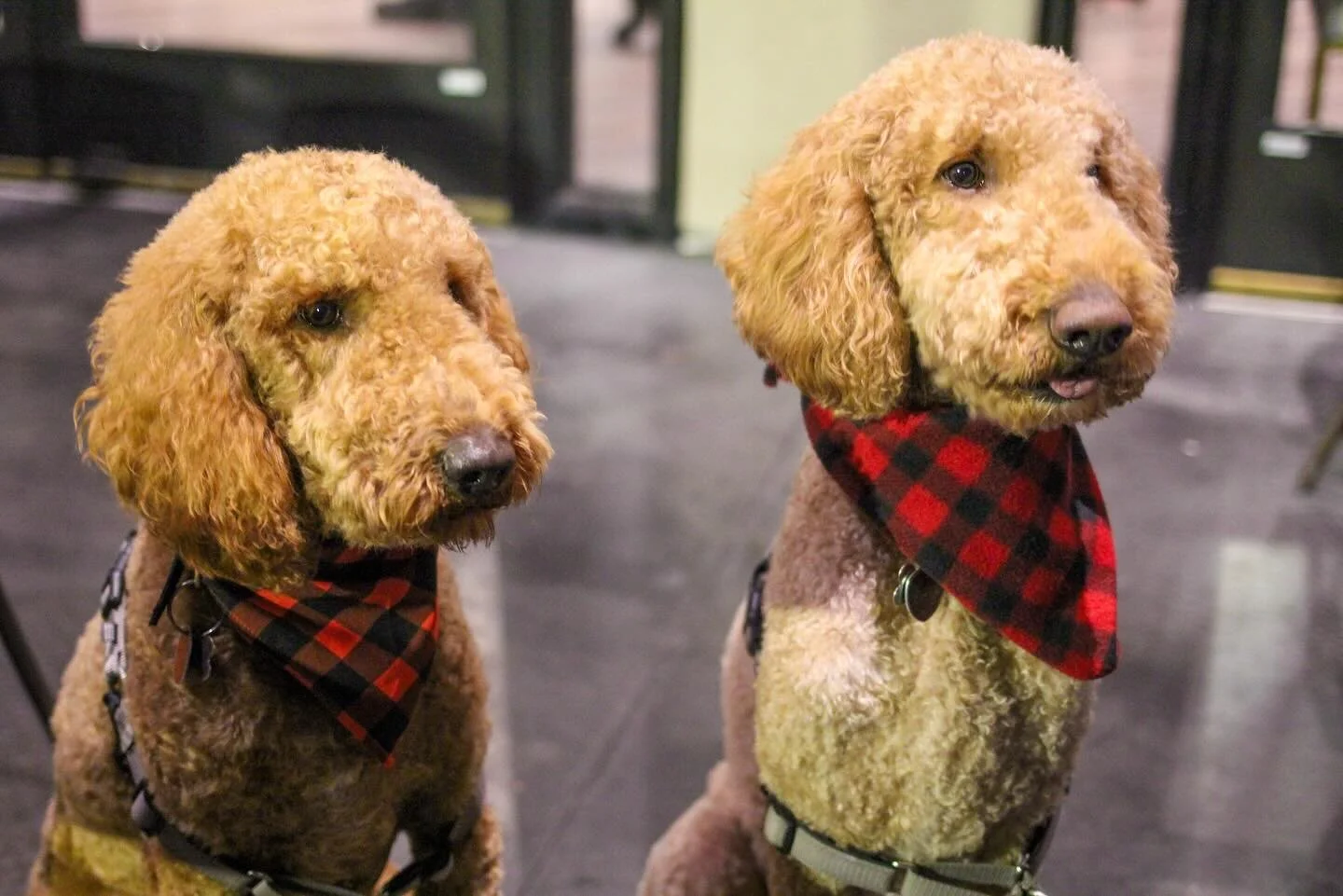 Seven Doors Kitchen & Cocktails