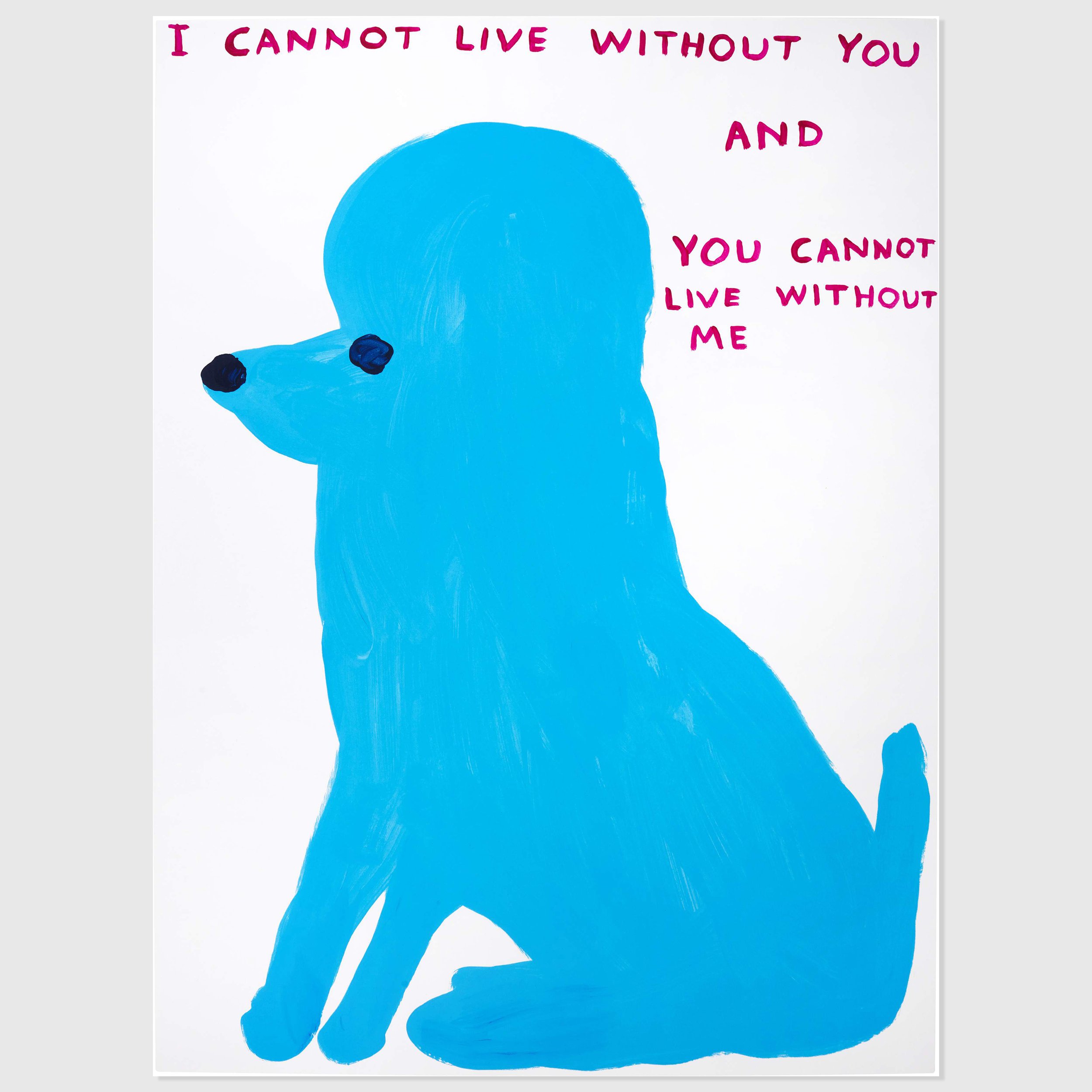 Rotten Apple — Extraordinary Objects | Extraordinary Objects | Carla ...