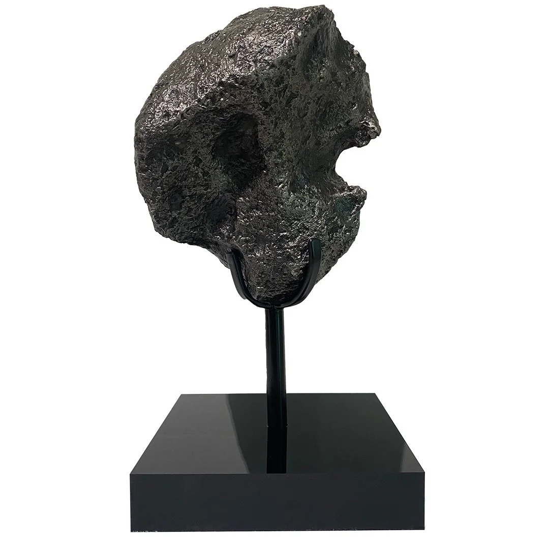 Sold Meteorites — Extraordinary Objects | Extraordinary Objects | Carla ...