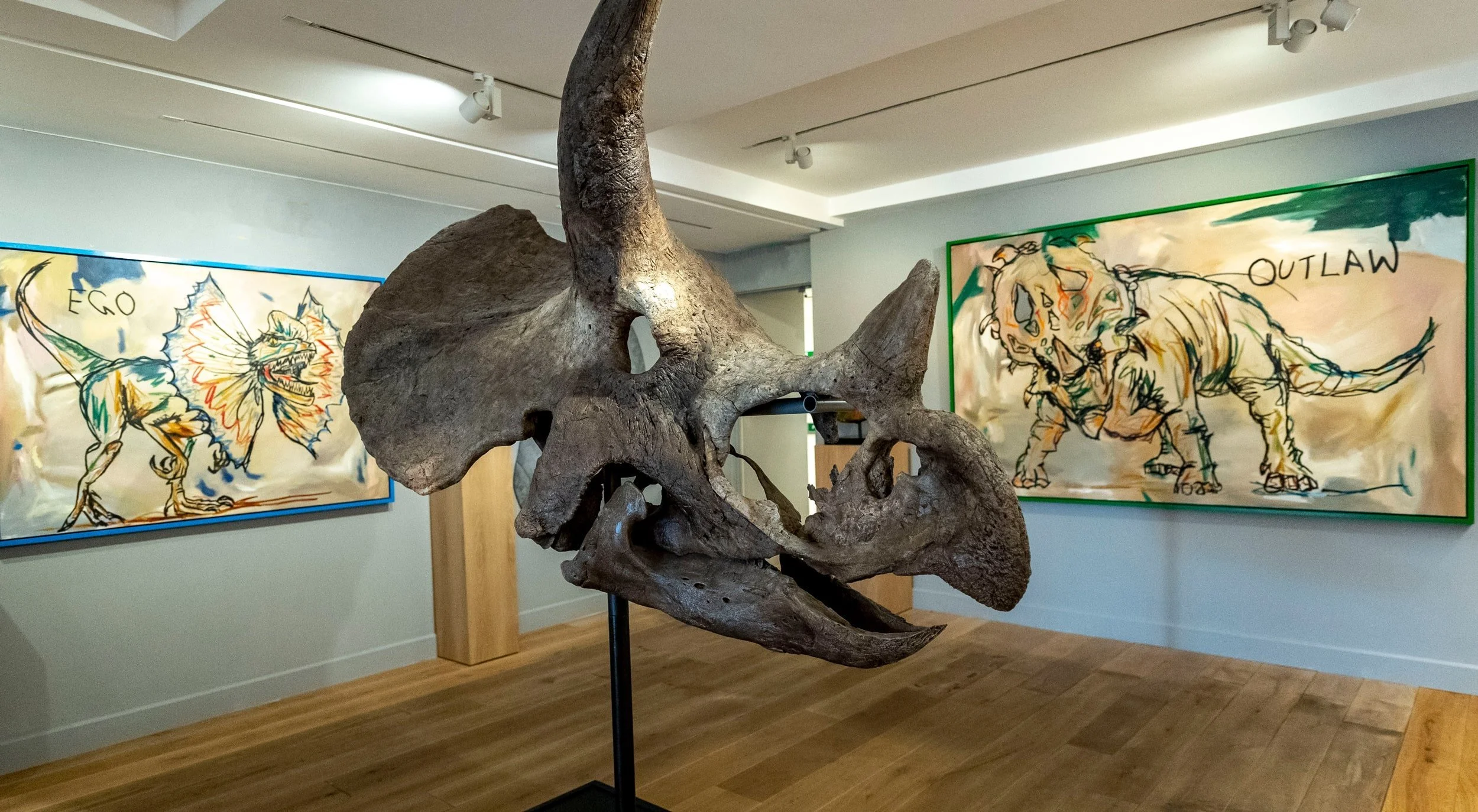 Extraordinary Images Collection