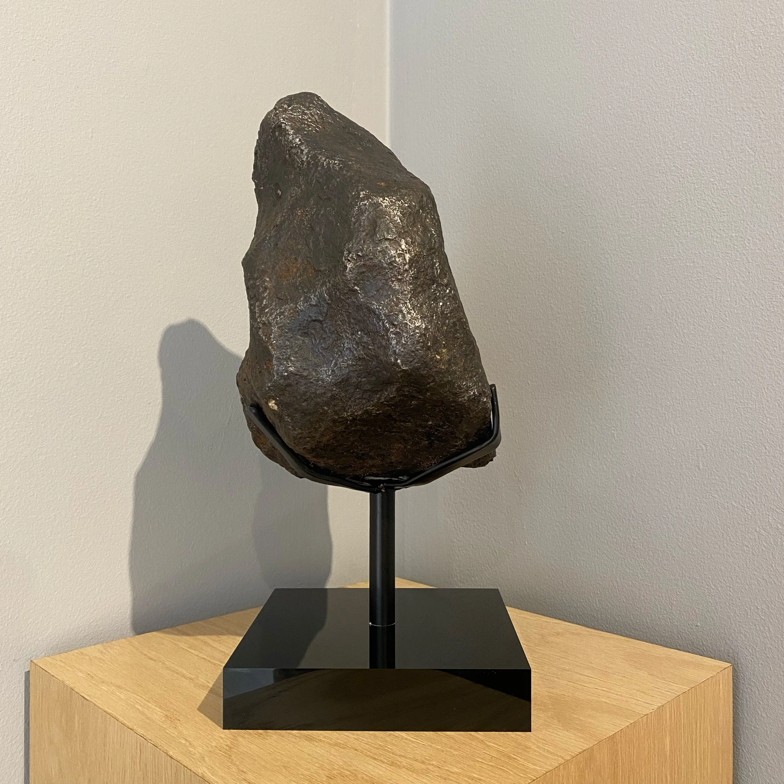 July's Successful Natural History Sale at Sotheby's New York ...