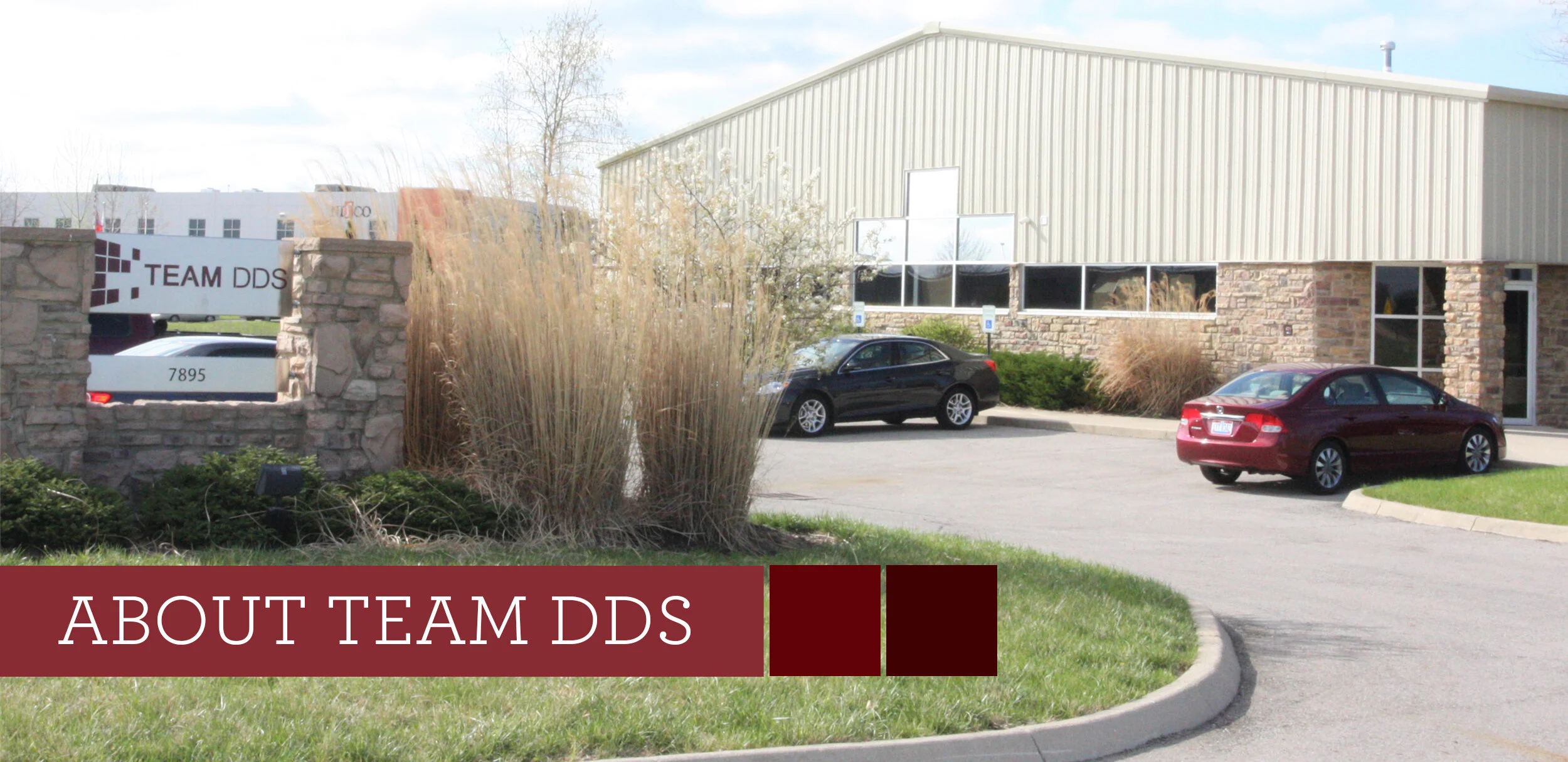 About Team DDS - Team DDS — TEAM DDS